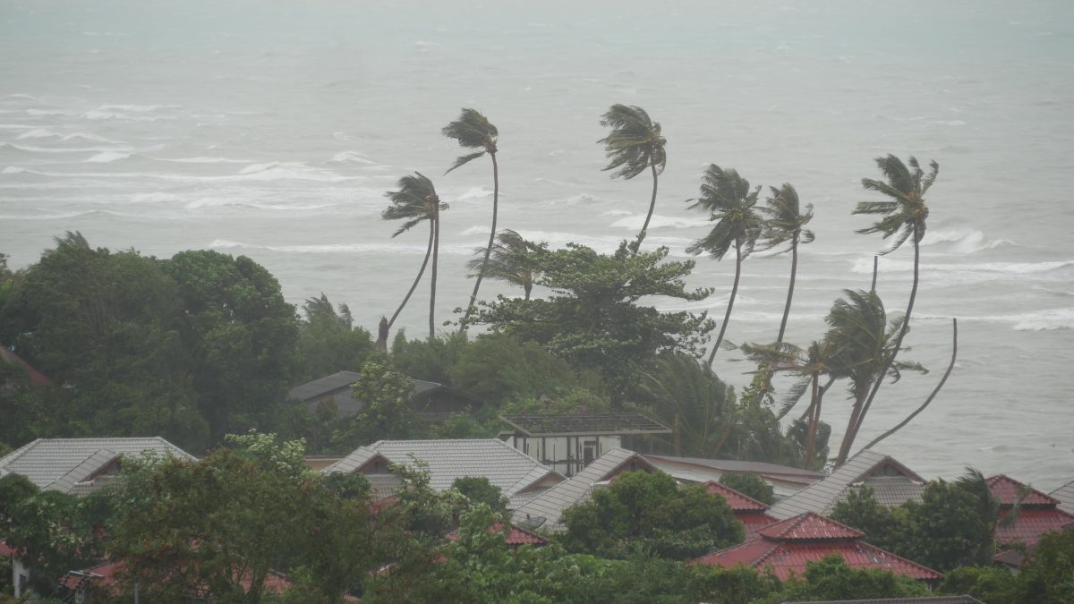 Final Seasonal Forecast for Northwest Pacific Typhoon Activity in 2024 ...